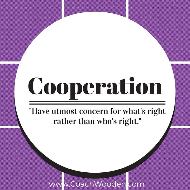 Cooperation | Lara Nieberding